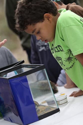 Fascinating reptiles at Eco-Kids Club | News Archives | yoursun.com
