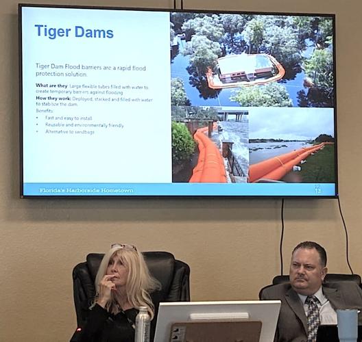 Officials investing in flood protection | News | yoursun.com