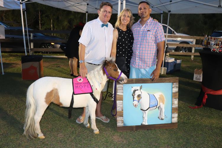 'It's All About the Horsepower' | Features | yoursun.com