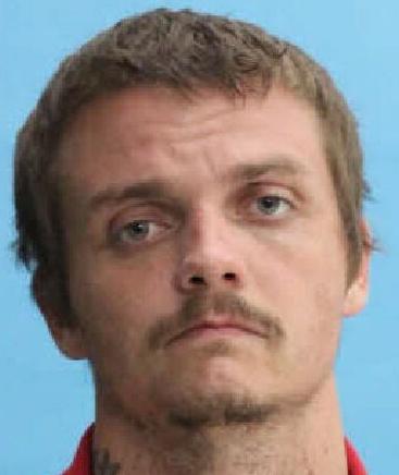 DCSO: Car theft suspect crashed into ditch during chase | News ...