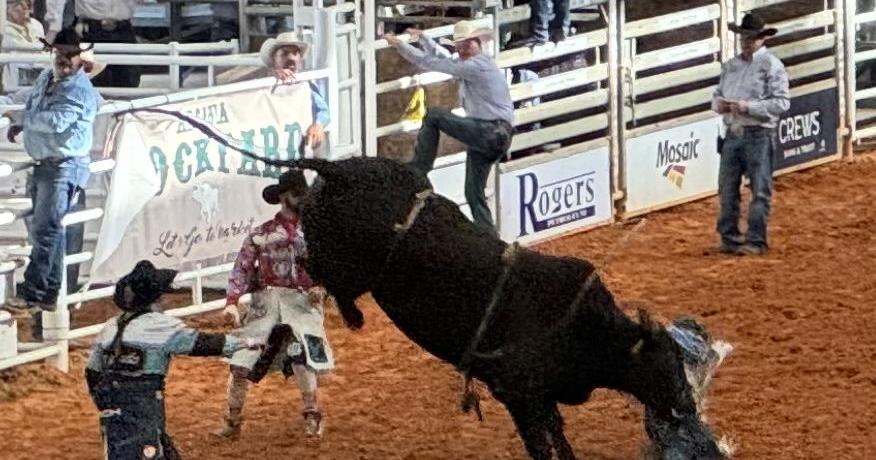 Guts, glory and grit | News | yoursun.com