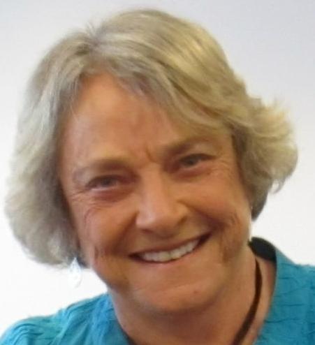 Sarasota County moves toward special tax district for mental health ...