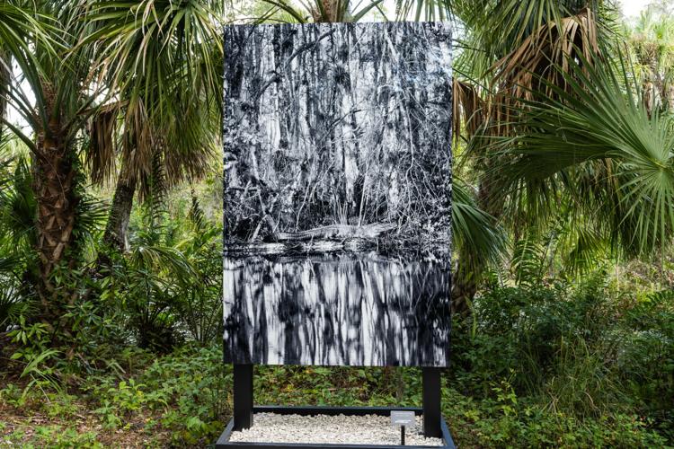 ‘Clyde Butcher: Nature Through the Lens’ | News | yoursun.com