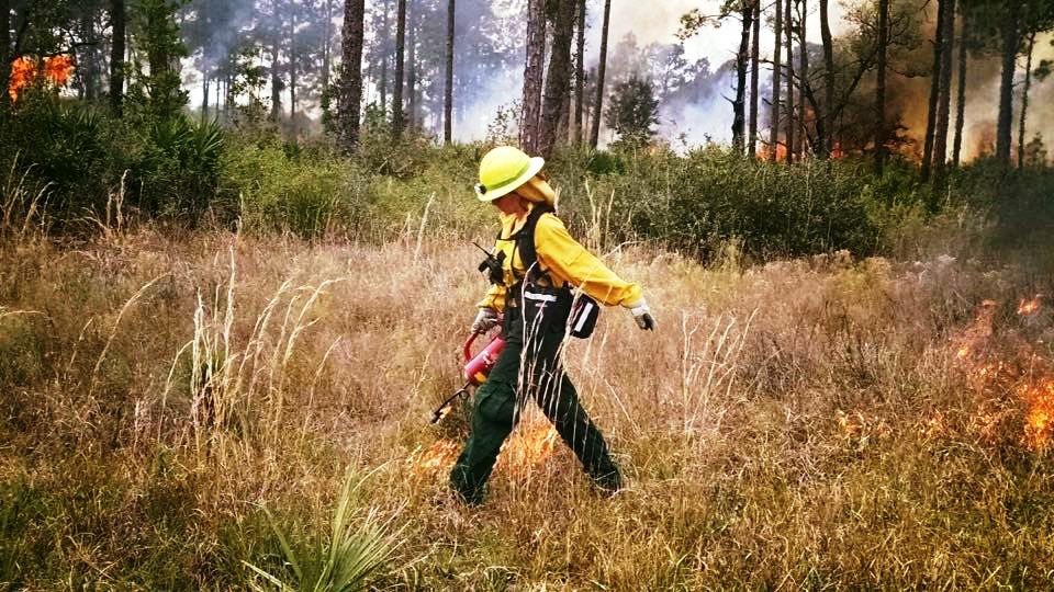 Florida State Park Ranger | Newsarchives | yoursun.com