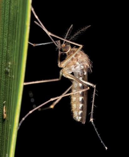 Backyard bug safari | Waterline | yoursun.com