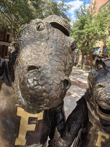 UF, FSU, USF Drop in Rankings | Port Charlotte News | yoursun.com