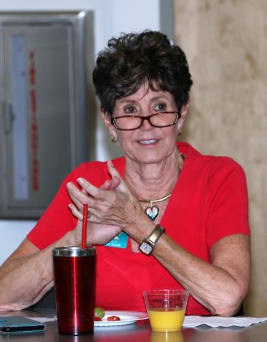 ‘Friends’ meet at Shannon Staub library | News Archives | yoursun.com