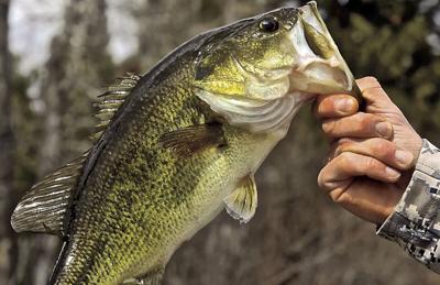 Don't be a jawbreaker | Waterline | yoursun.com