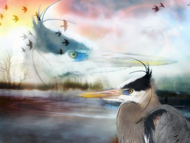 Melissa Platt featured at HCA Gallery | Around Town | yoursun.com