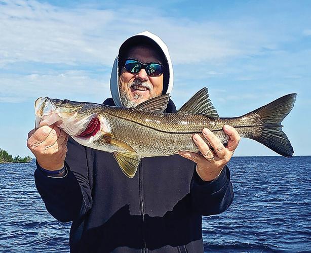 Reader photos | Waterline | yoursun.com