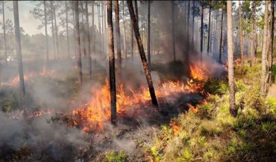 Controlled fires planned for areas in region | | yoursun.com