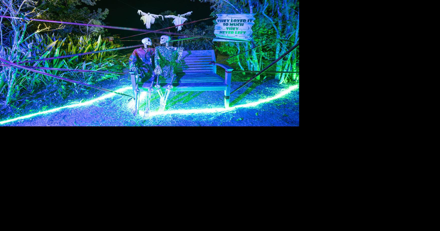 Encounter fantastically fun creations and unique Halloween light ...