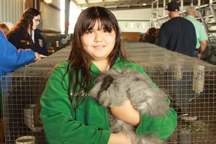 2013 Rabbits | News Archives | yoursun.com