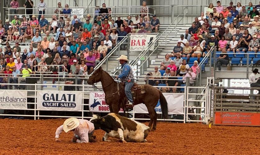 Guts, glory and grit | News | yoursun.com