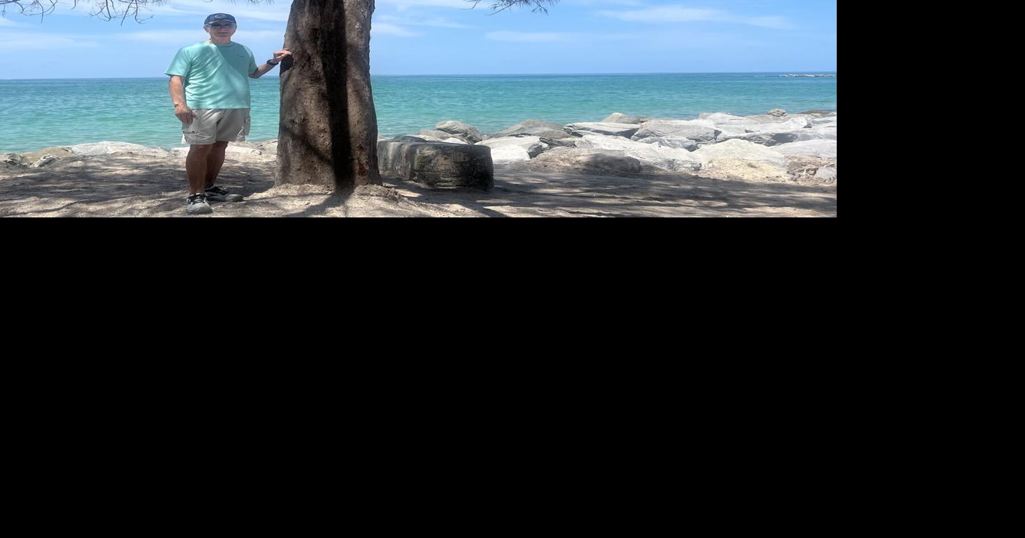 Man saves South Jetty tree | News | yoursun.com