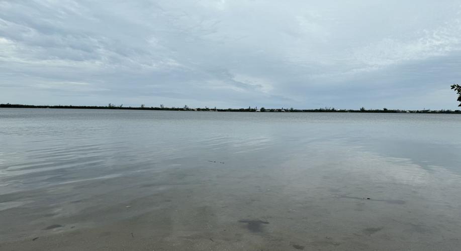 Lemon Bay Park makes a comeback | The Daily Sun | yoursun.com