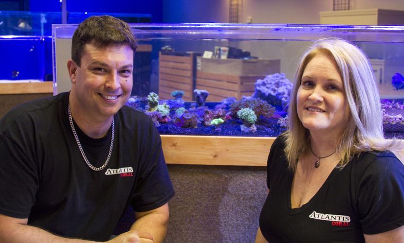 Travel to Atlantis for a saltwater oasis | News Archives | yoursun.com