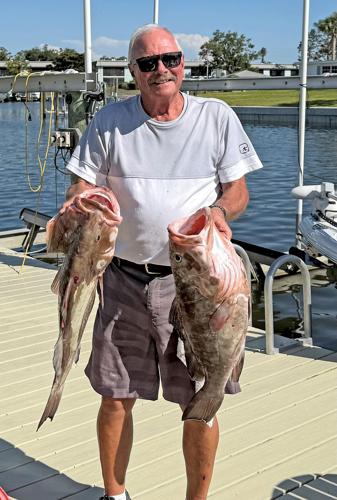 Increase in Gulf red grouper catch limits OK'd | Waterline | yoursun.com