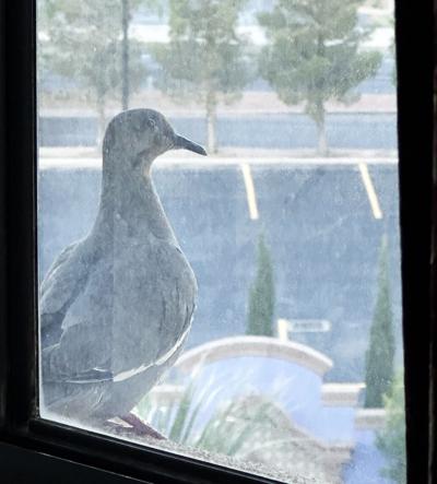 Try to look at life with bird's eye view | Religion | yoursun.com