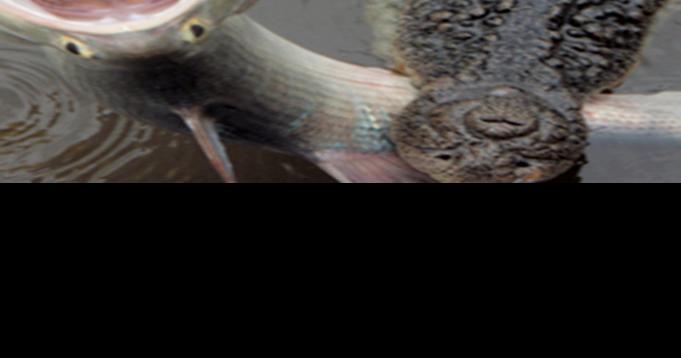 Slack Tides | Waterline | yoursun.com