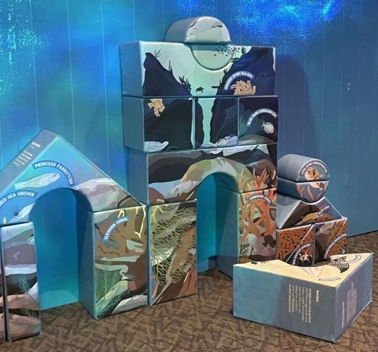 Saving coral reefs? Maybe kids have answers | News | yoursun.com