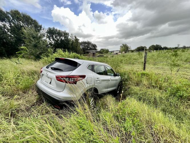 DCSO: Car theft suspect crashed into ditch during chase | News ...