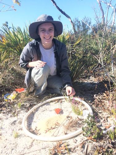 Internship program benficial | Sebring | yoursun.com