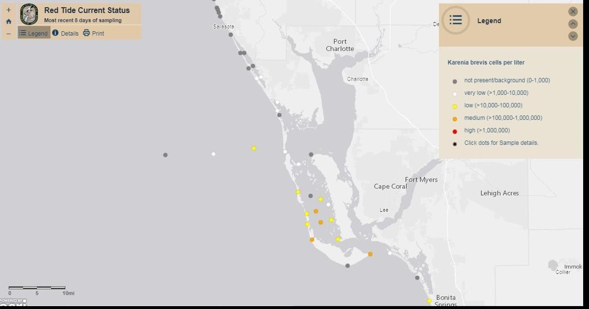 Red tide creeping north to Stump Pass | News | yoursun.com