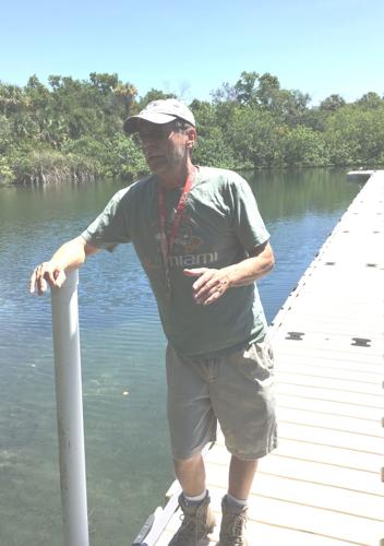 'Gateway to the past' - Little Salt Spring faces uncertain future | The ...