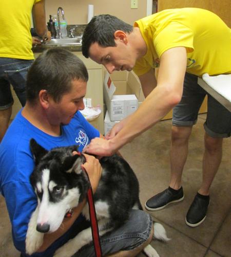 Full of dogs and cats | Newsarchives | yoursun.com