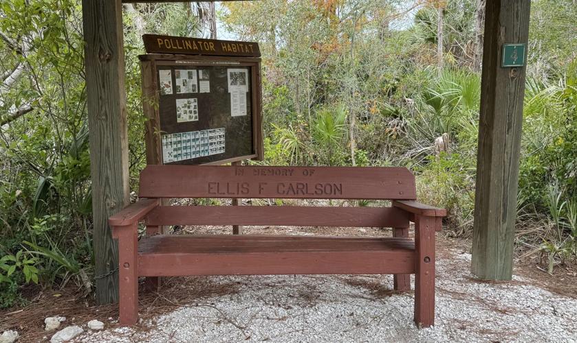 Lemon Bay Park makes a comeback | The Daily Sun | yoursun.com