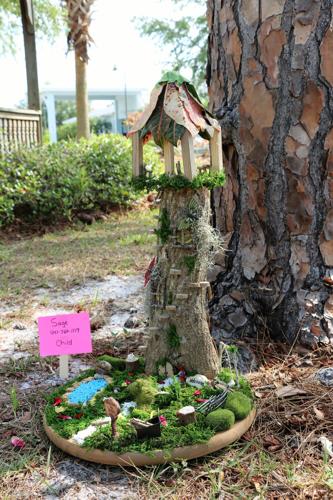 Tree Fair 2019 | Go! | yoursun.com
