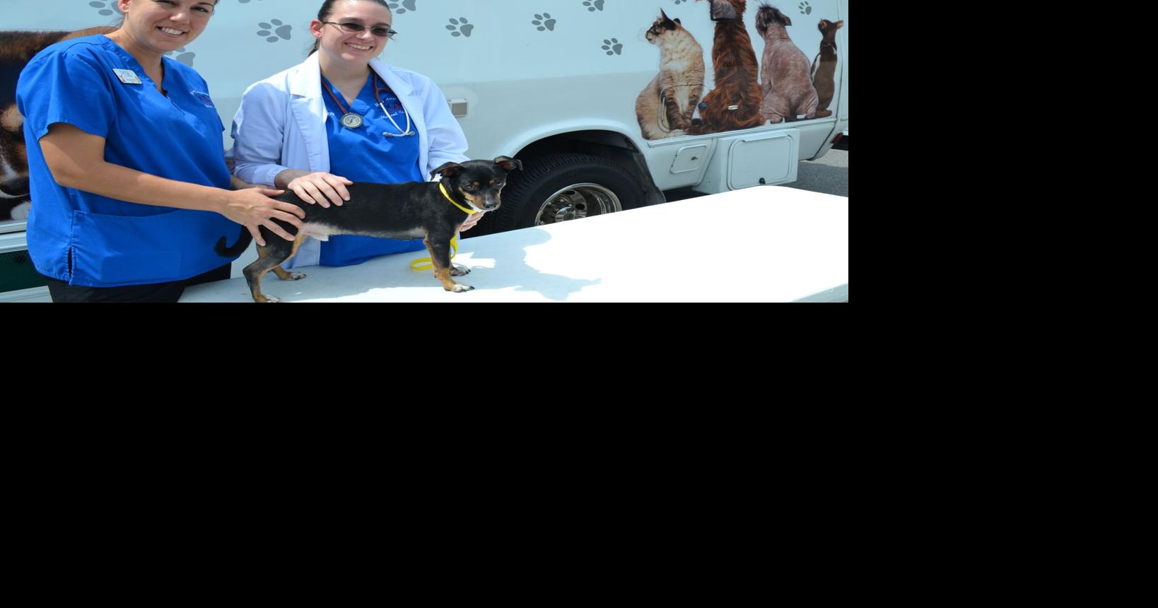 SPCA Florida focuses on adoptions through partnerships | Newsarchives ...
