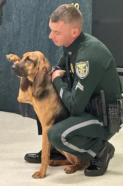 CCSO welcomes new K9 bloodhound | Port Charlotte News | yoursun.com