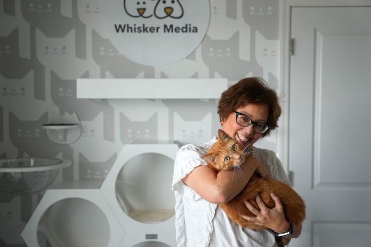 How a ‘childless cat lady’ transformed her home into a feline ...
