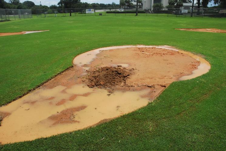 On the field | Newsarchives | yoursun.com