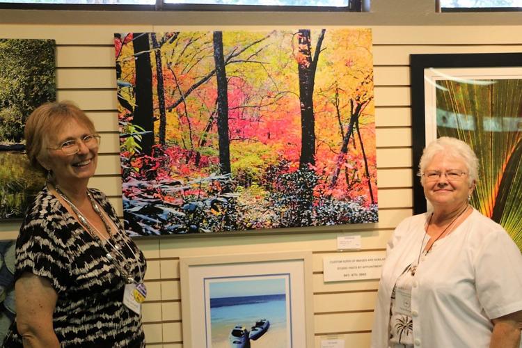 Artist Spielman shows giclee prints | News Archives | yoursun.com