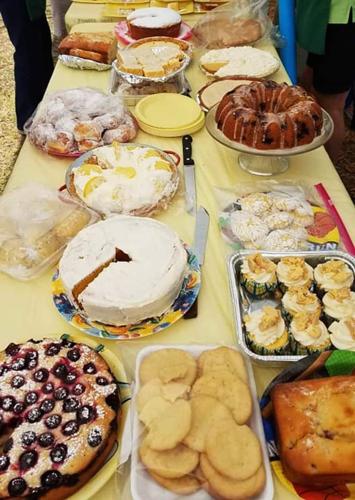 Lemon Dessert contest is highlight of 20th annual Cracker Fair | News ...