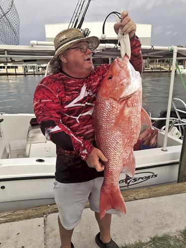 Reader photos | Waterline | yoursun.com