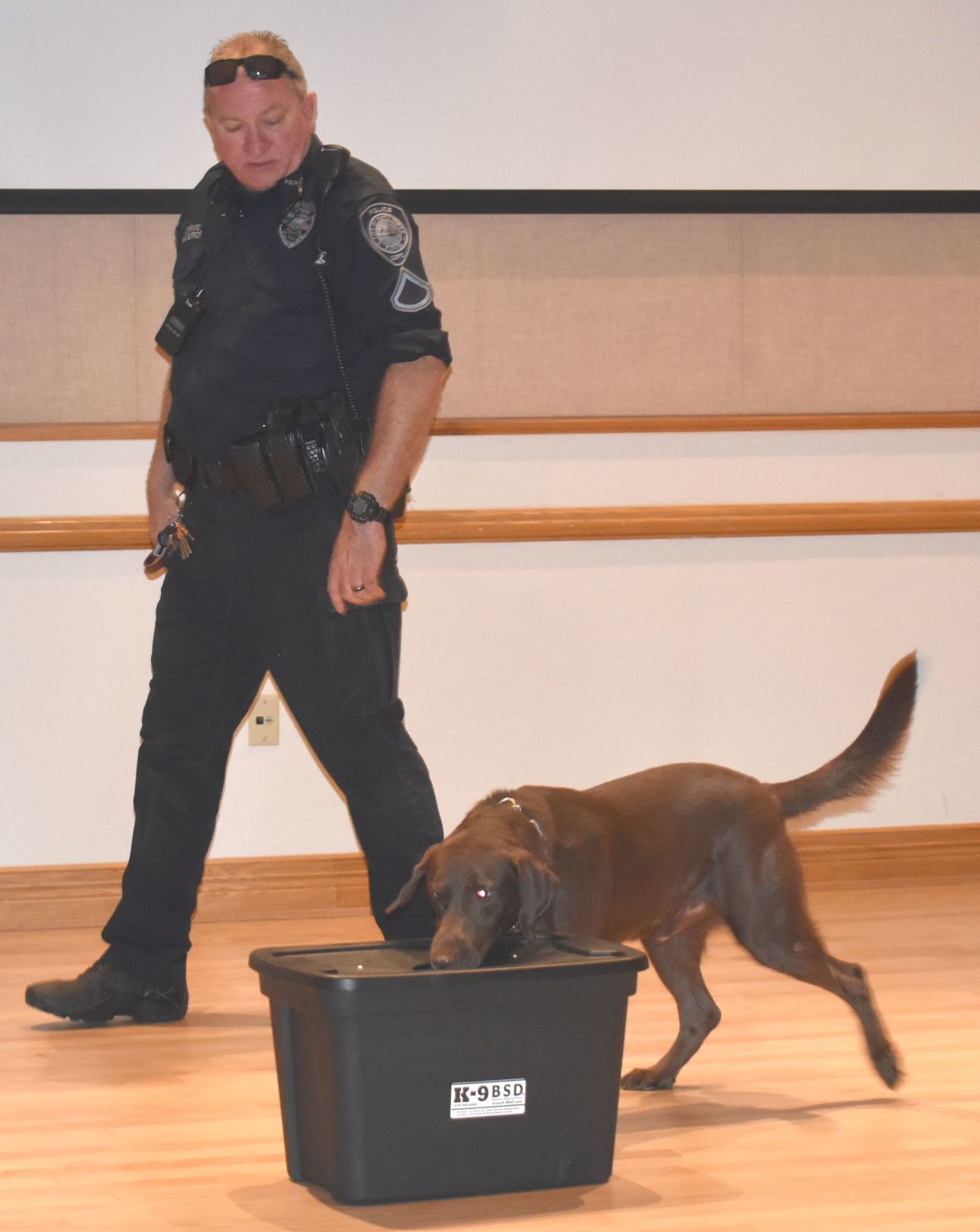 Military museum honors four-legged heroes | Charlotte Sun | yoursun.com