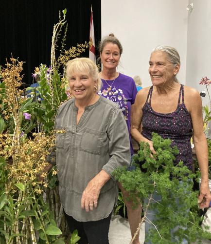 COLUMN: Venice Orchid Society grows its passion | News | yoursun.com