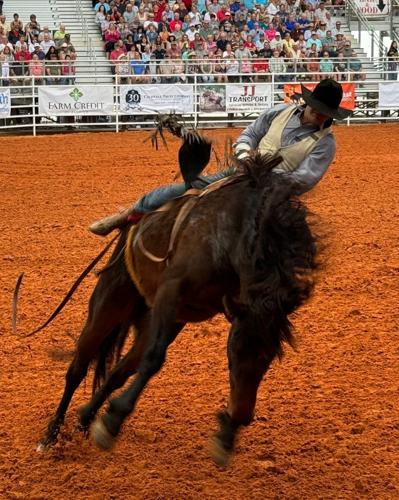 Saddle up for the 'Granddaddy of 'em All' | News | yoursun.com