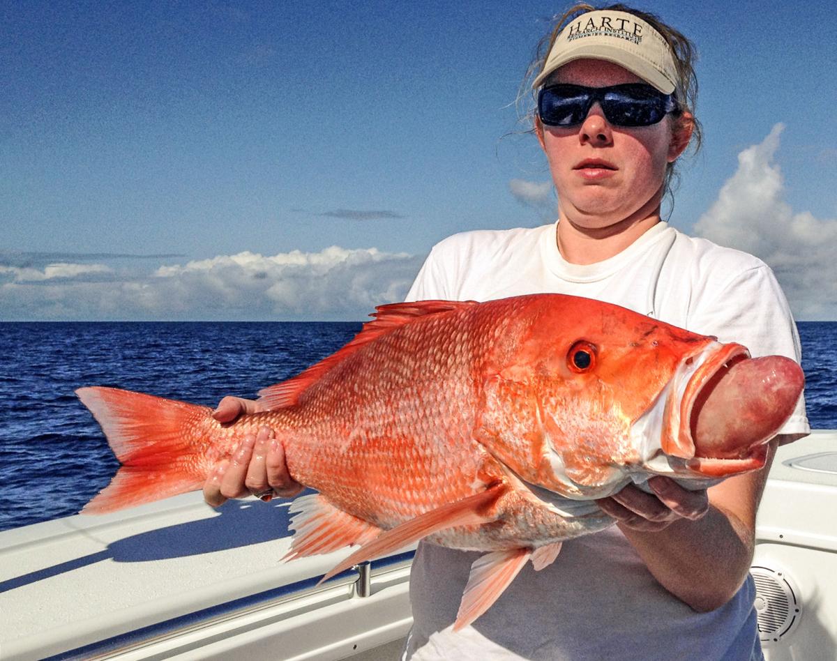 Weightless in the water: How fish keep from sinking to the bottom ...