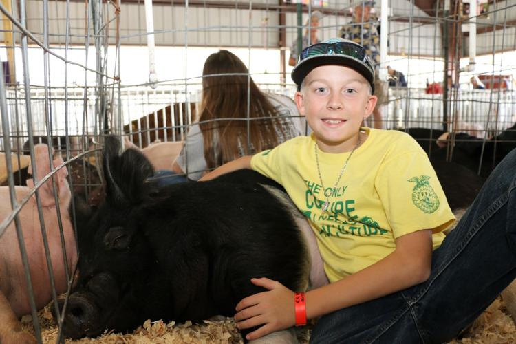 Memories of the Fair | News Archives | yoursun.com