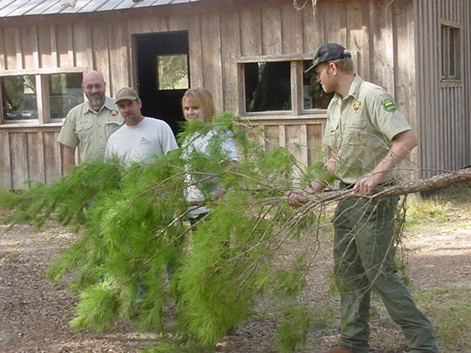 Chopping trees | Newsarchives | yoursun.com