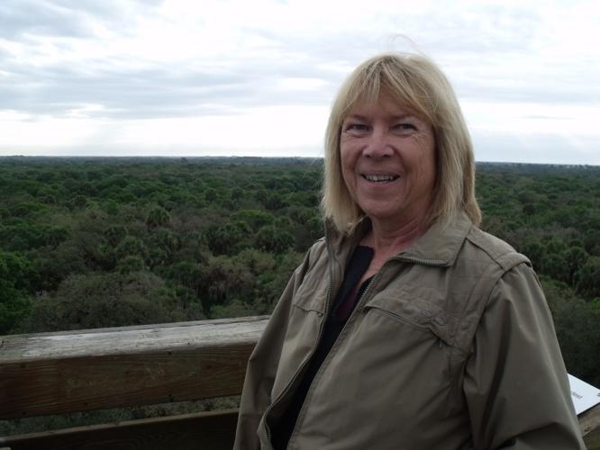 Take a walk through the canopy | News Archives | yoursun.com