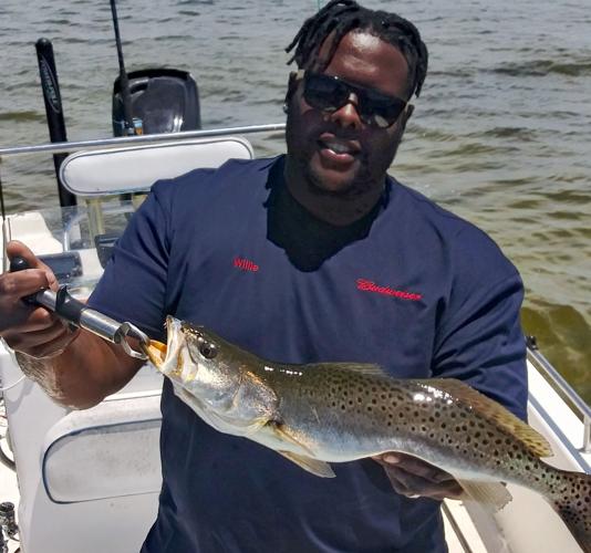 Reader photos | Waterline | yoursun.com