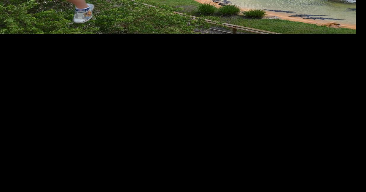 Unbelievably real experiences only in Orlando | Go! | yoursun.com