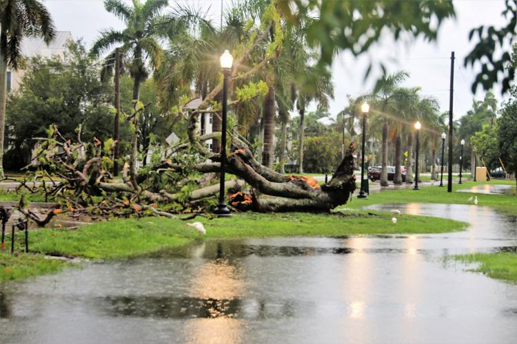 Elsa causes 'minimal damage,' lots of flooding in Punta Gorda | Latest ...