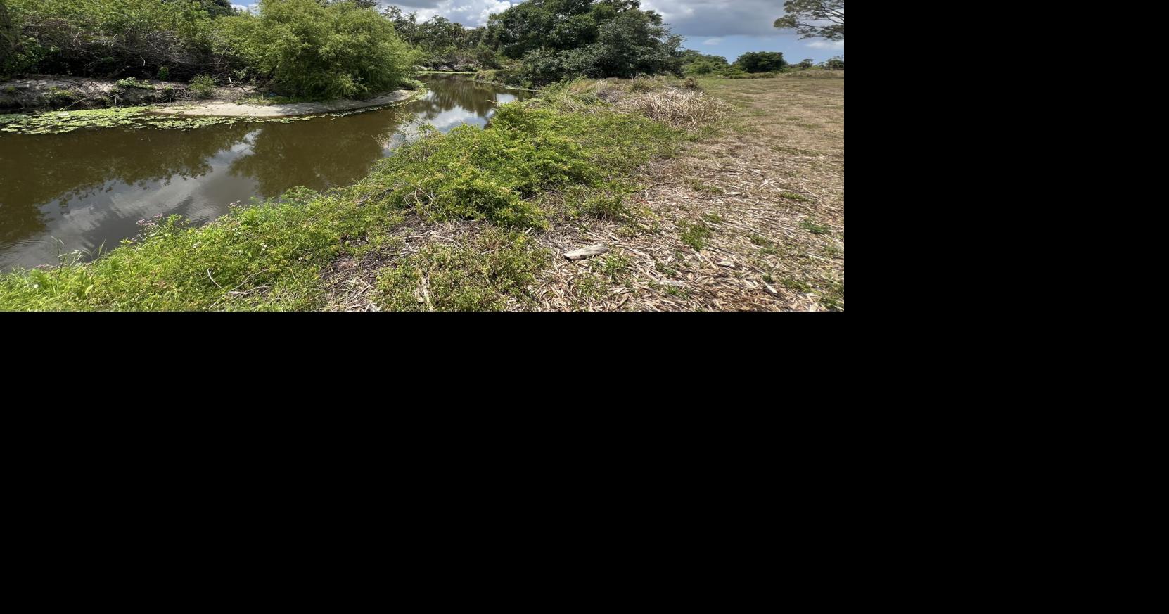 North Port clears creek to enhance stormwater system | News | yoursun.com